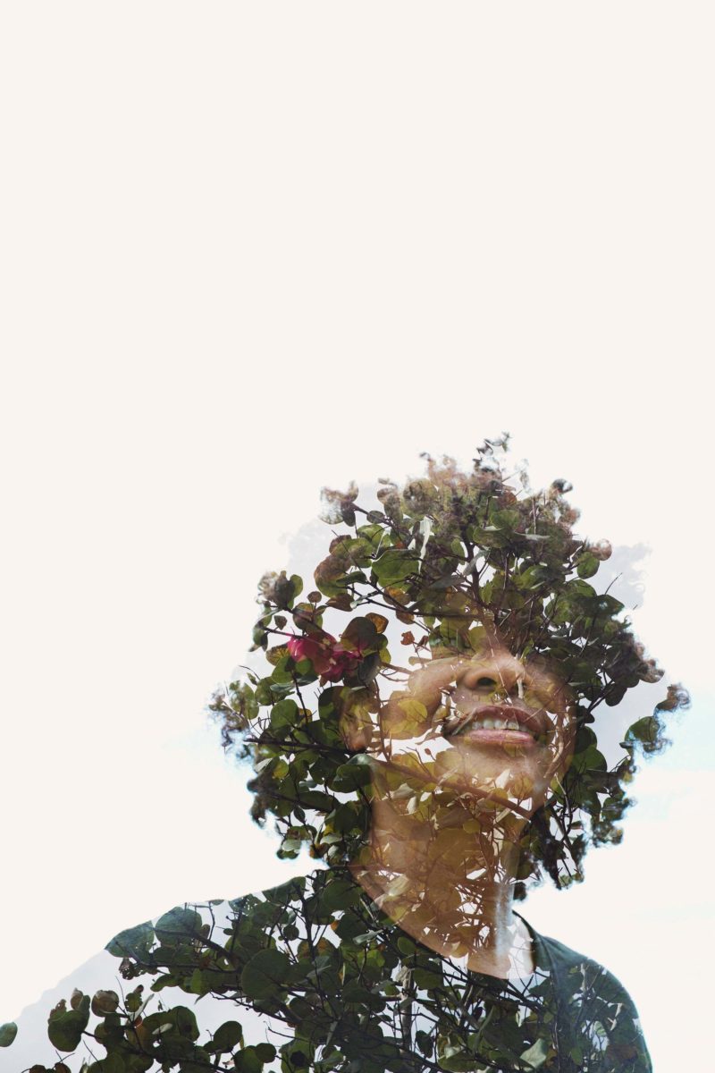 A Tour of Bermuda's Wild Side – Garden & Gun