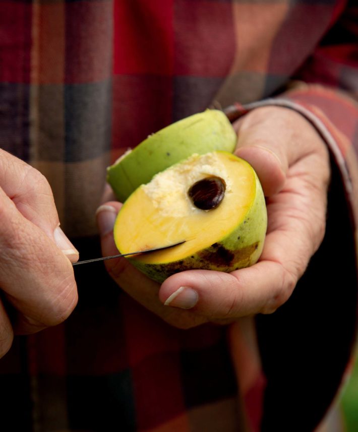 Bill Heavey Archives – Garden & Gun