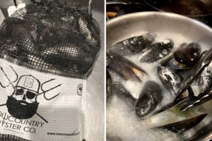 Quick and Savory Southern Mussels – Garden & Gun