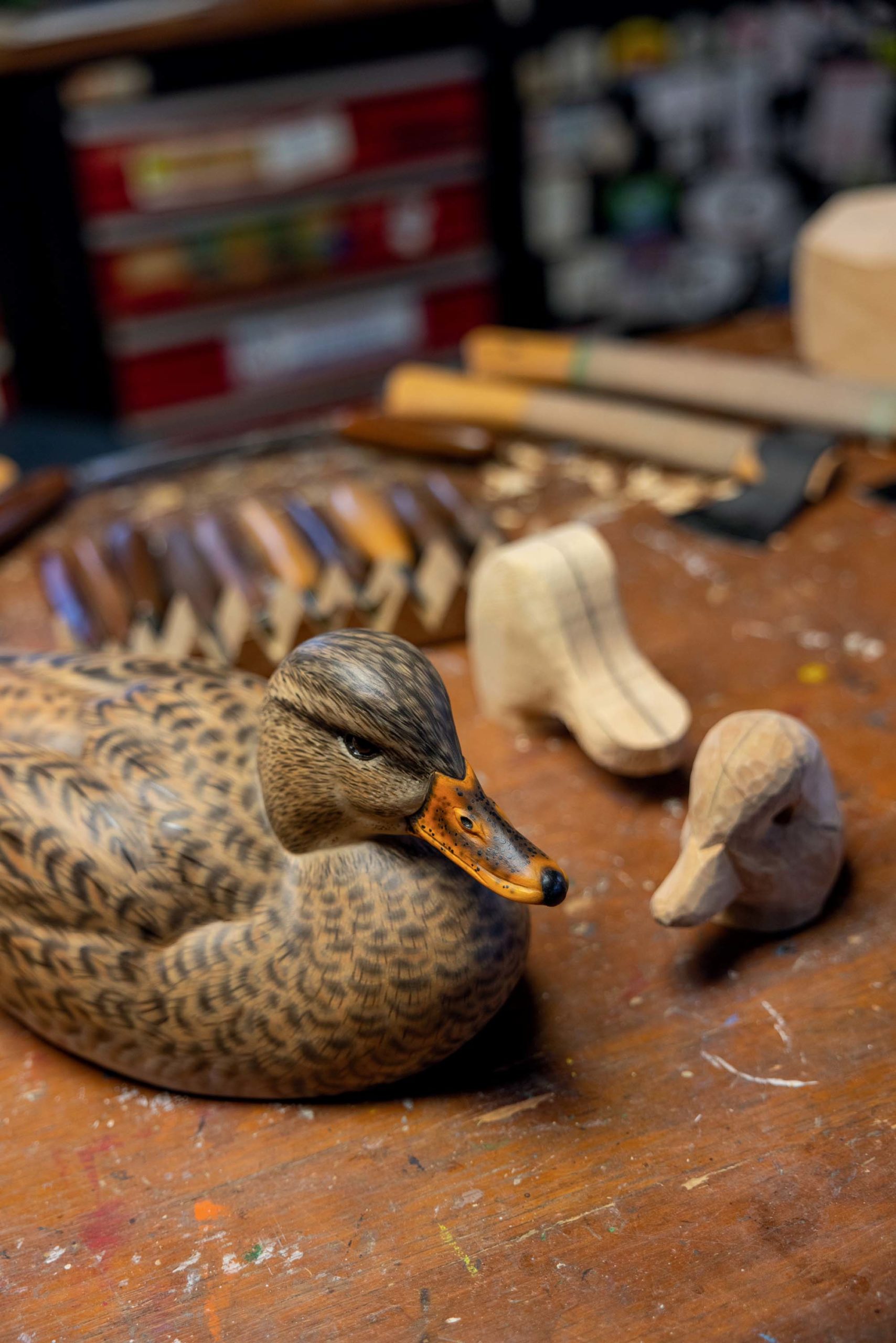 Rich Smoker’s Dazzling Decoys – Garden & Gun