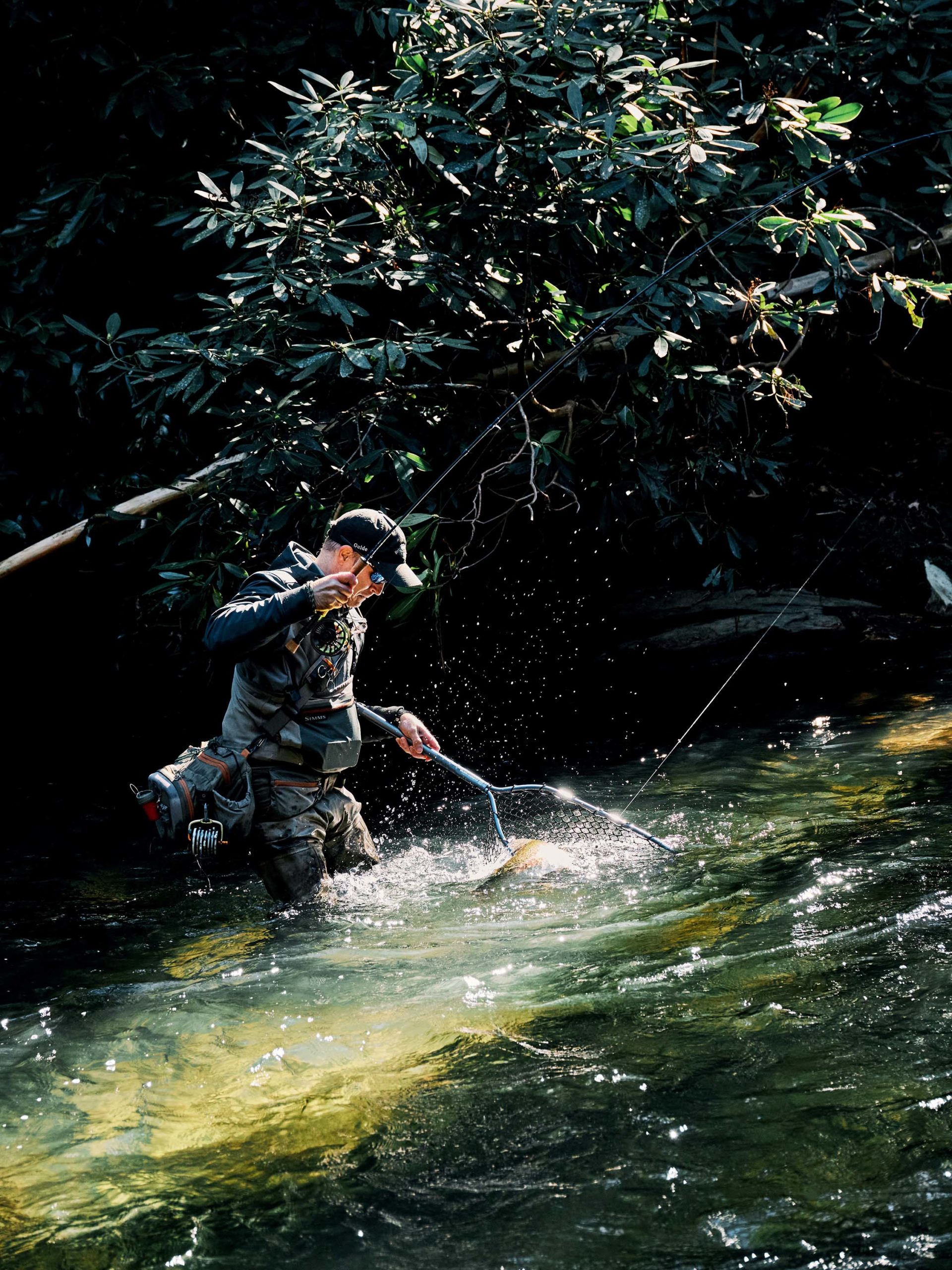 Searching for Monster Trout on Georgia's Soque River – Garden & Gun