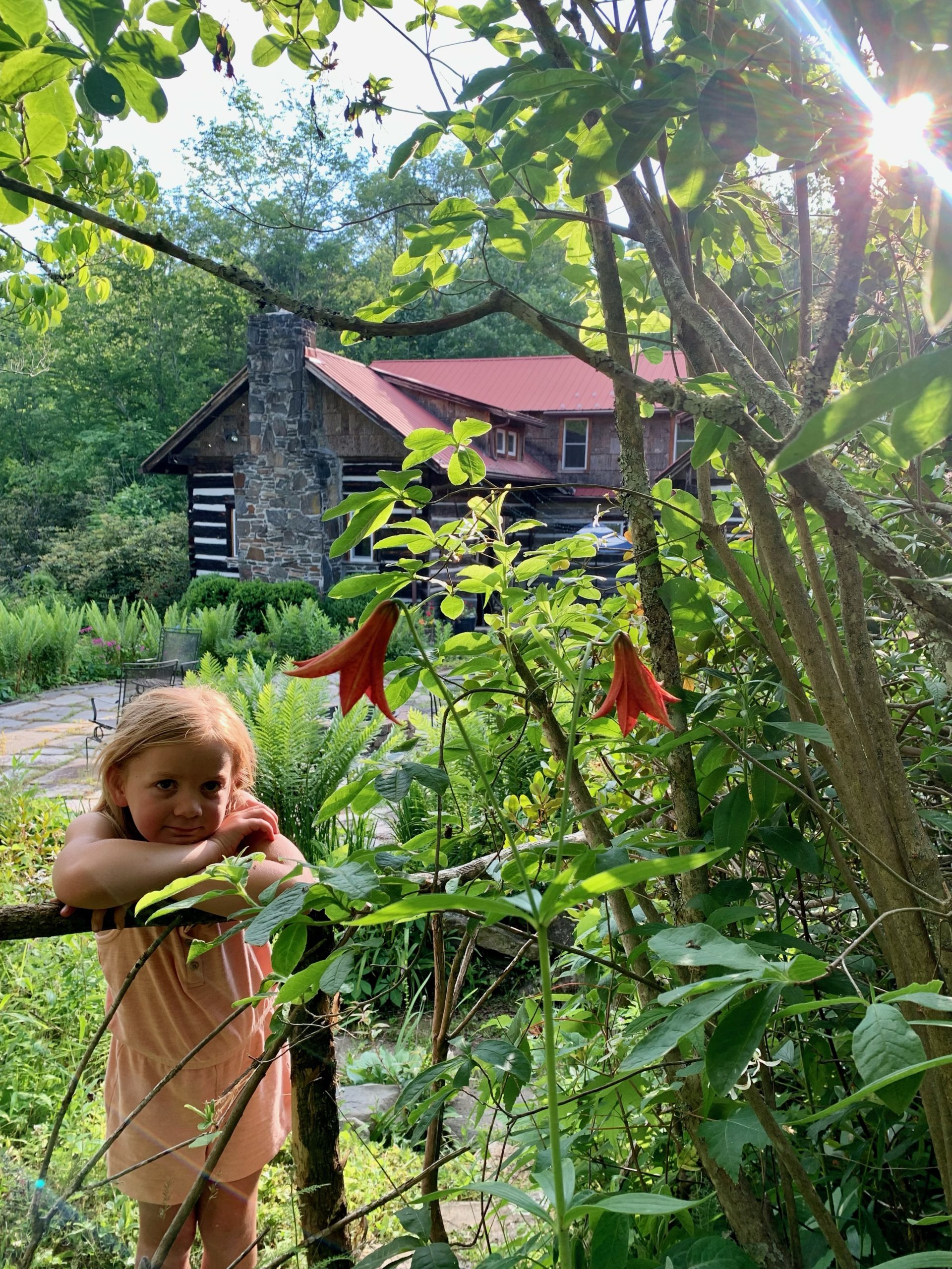 The Tiny Miracle of Gray’s Lily – Garden & Gun