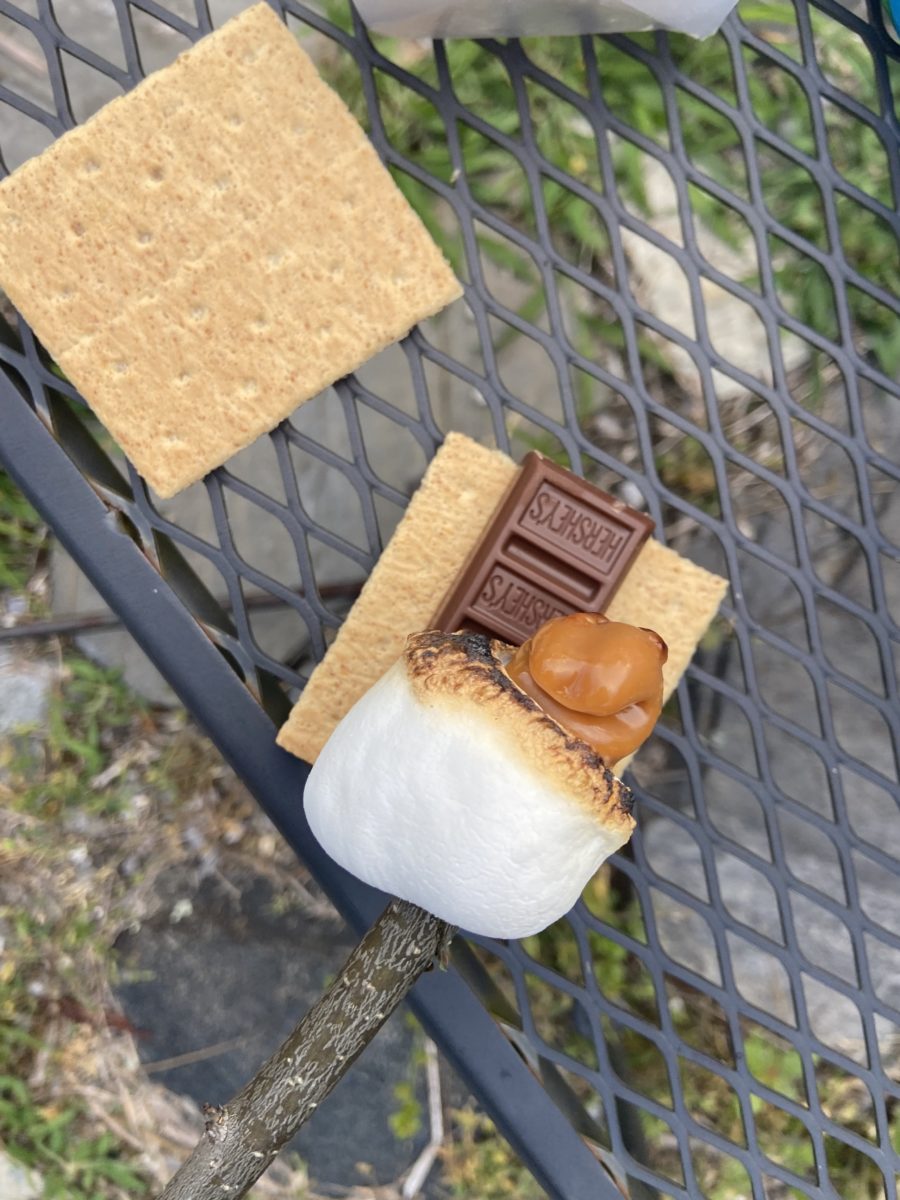 Hacks and Tricks for the Best S’mores Ever – Garden & Gun