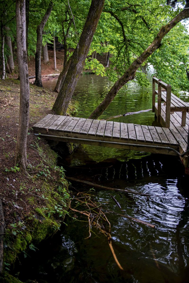 Inside Billy Reid's Stylish Alabama Lake House – Garden & Gun