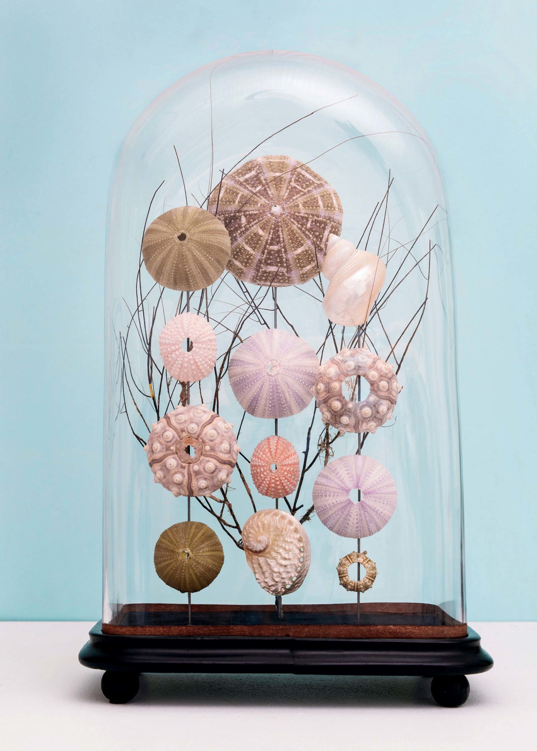 A Case for Butterflies – Garden & Gun