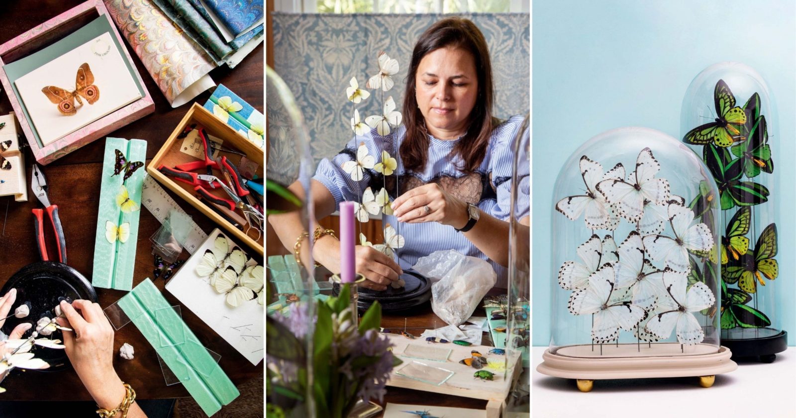 A Case for Butterflies – Garden & Gun