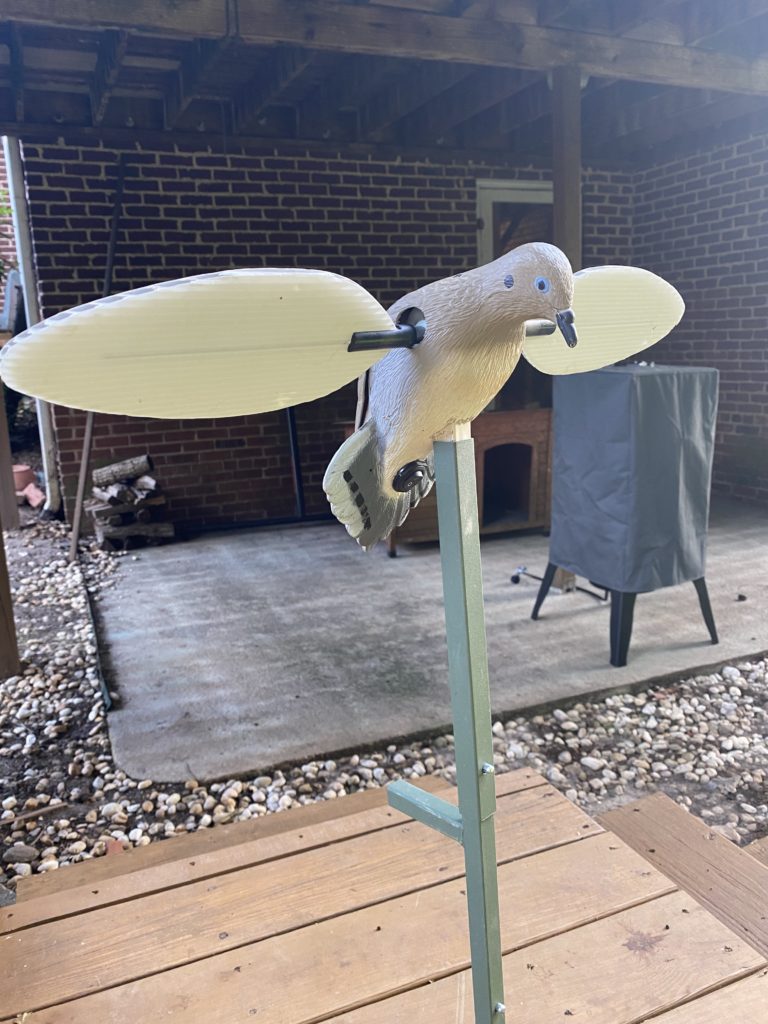 Watch Now: What’s in My Dove Bucket? – Garden & Gun