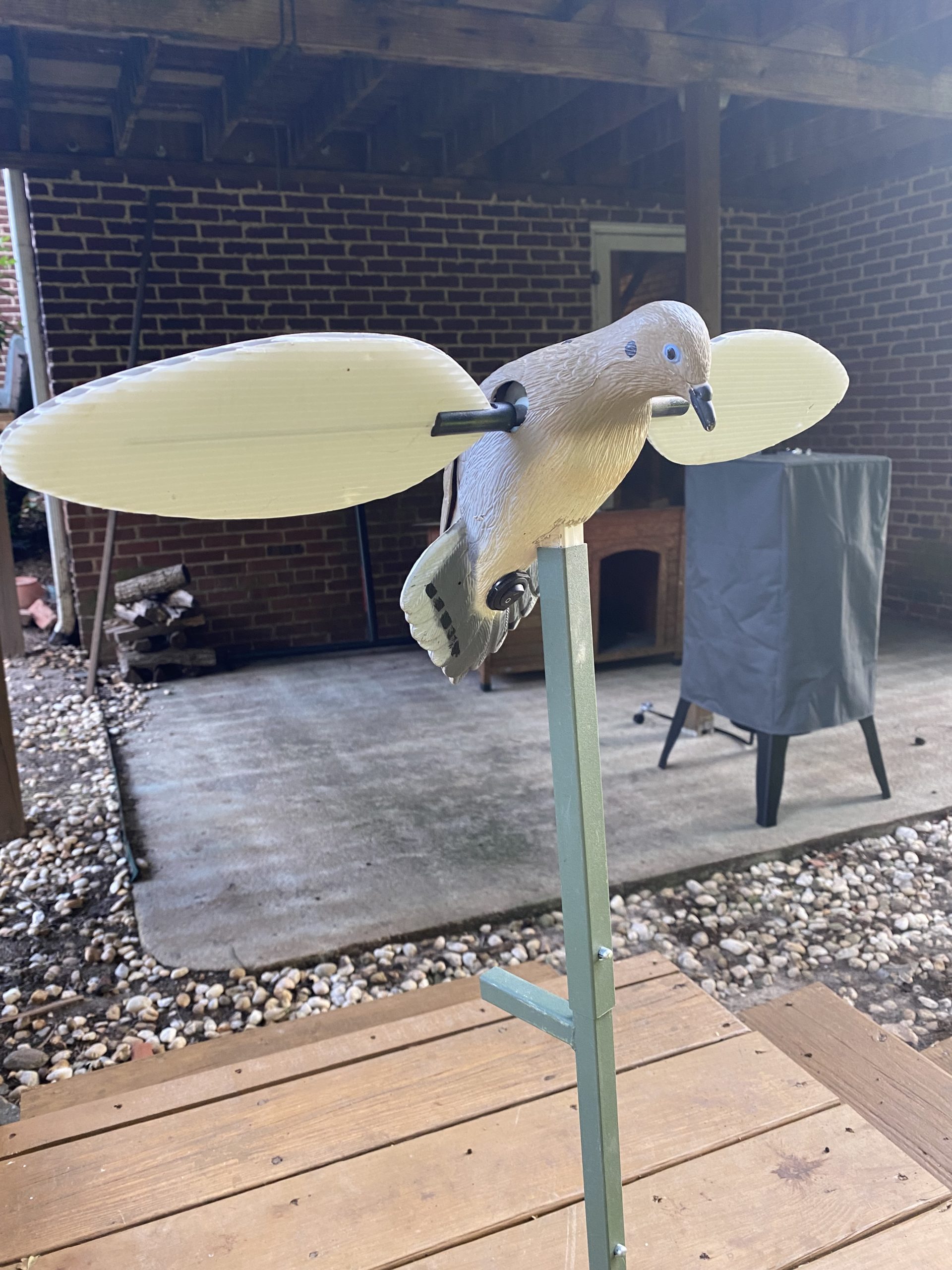 Watch Now: What’s in My Dove Bucket? – Garden & Gun