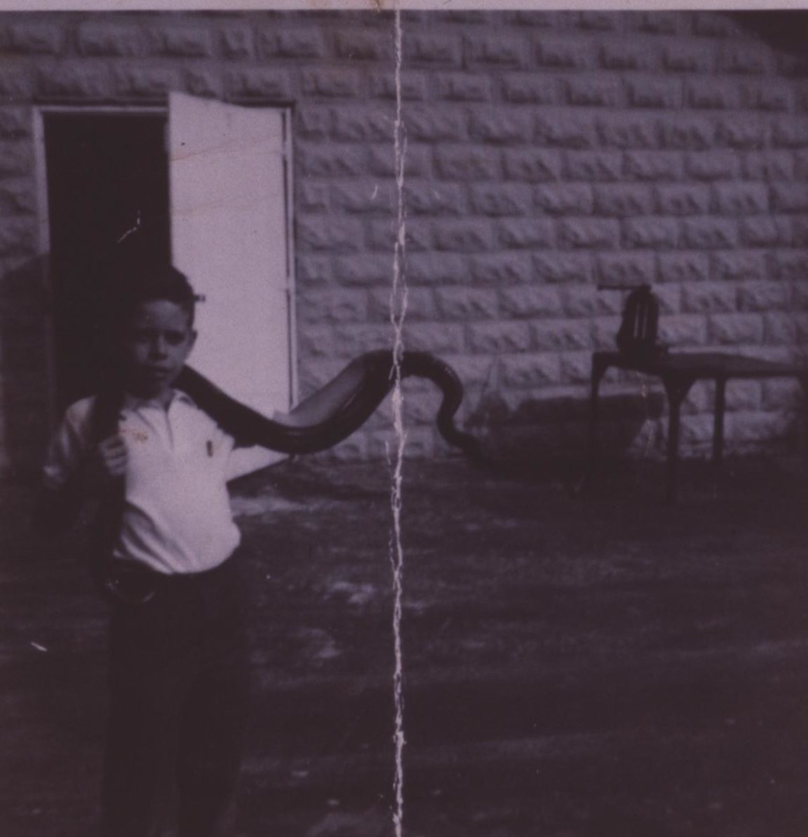 The World According to Padgett Powell – Garden & Gun