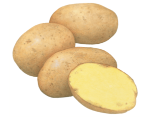 A Next-Level Spud – Garden & Gun