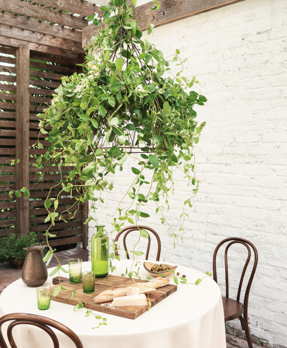 Garden & Gun | Official Website of Garden & Gun Magazine