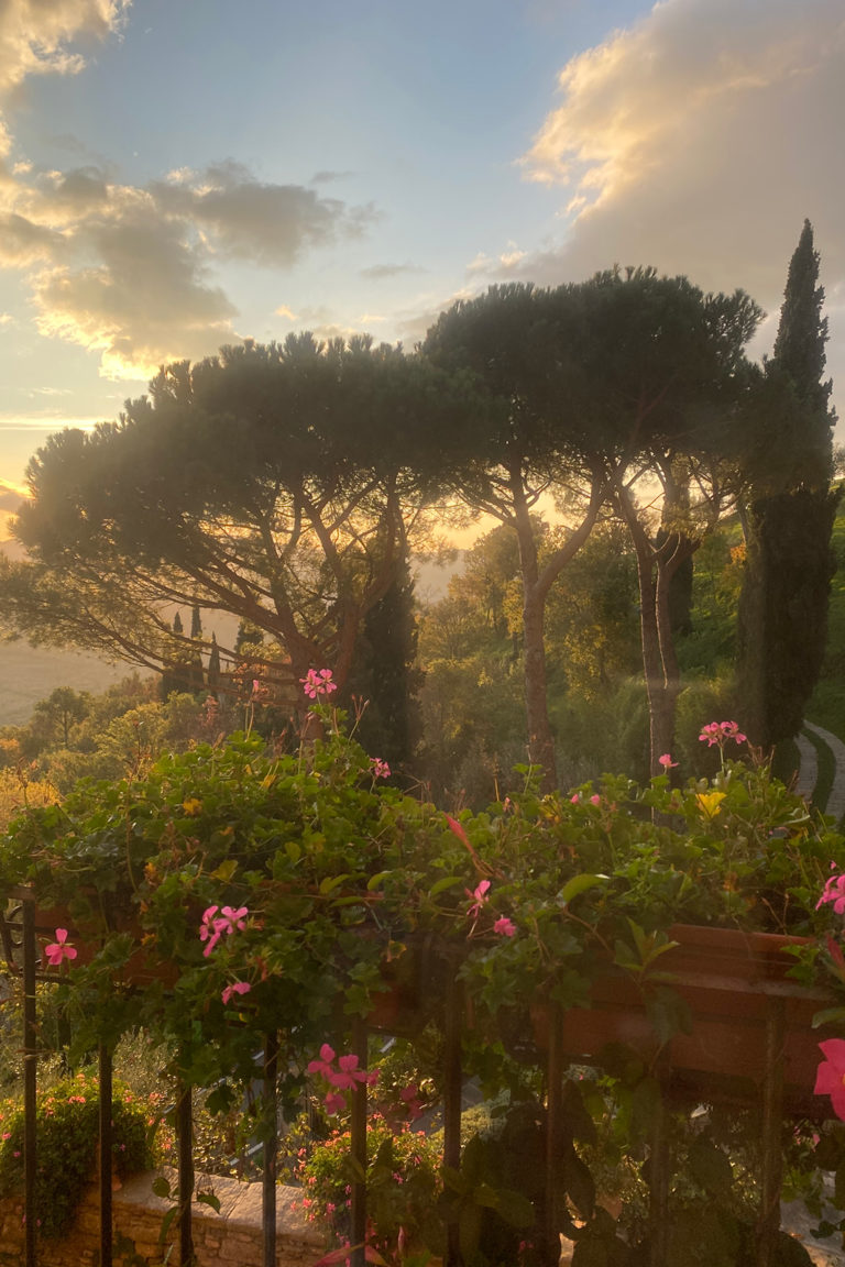 Frances Mayes Finds the Meaning of Home – Garden & Gun