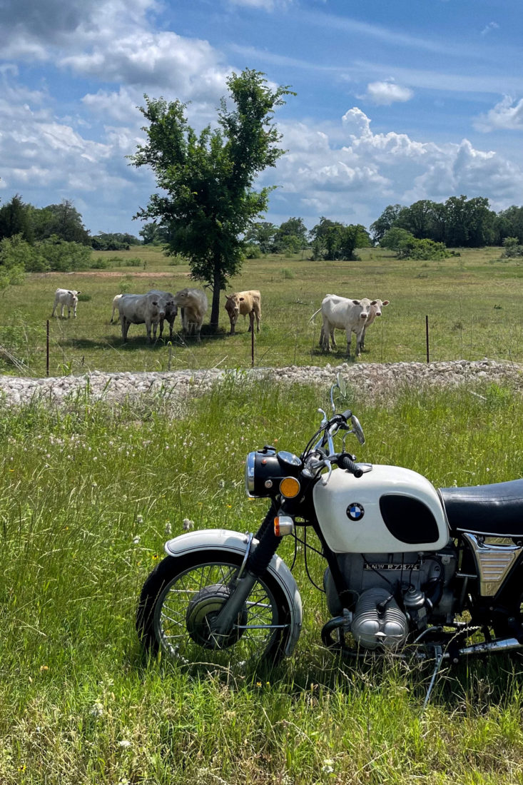 Southern Motorcycle Diaries – Garden & Gun