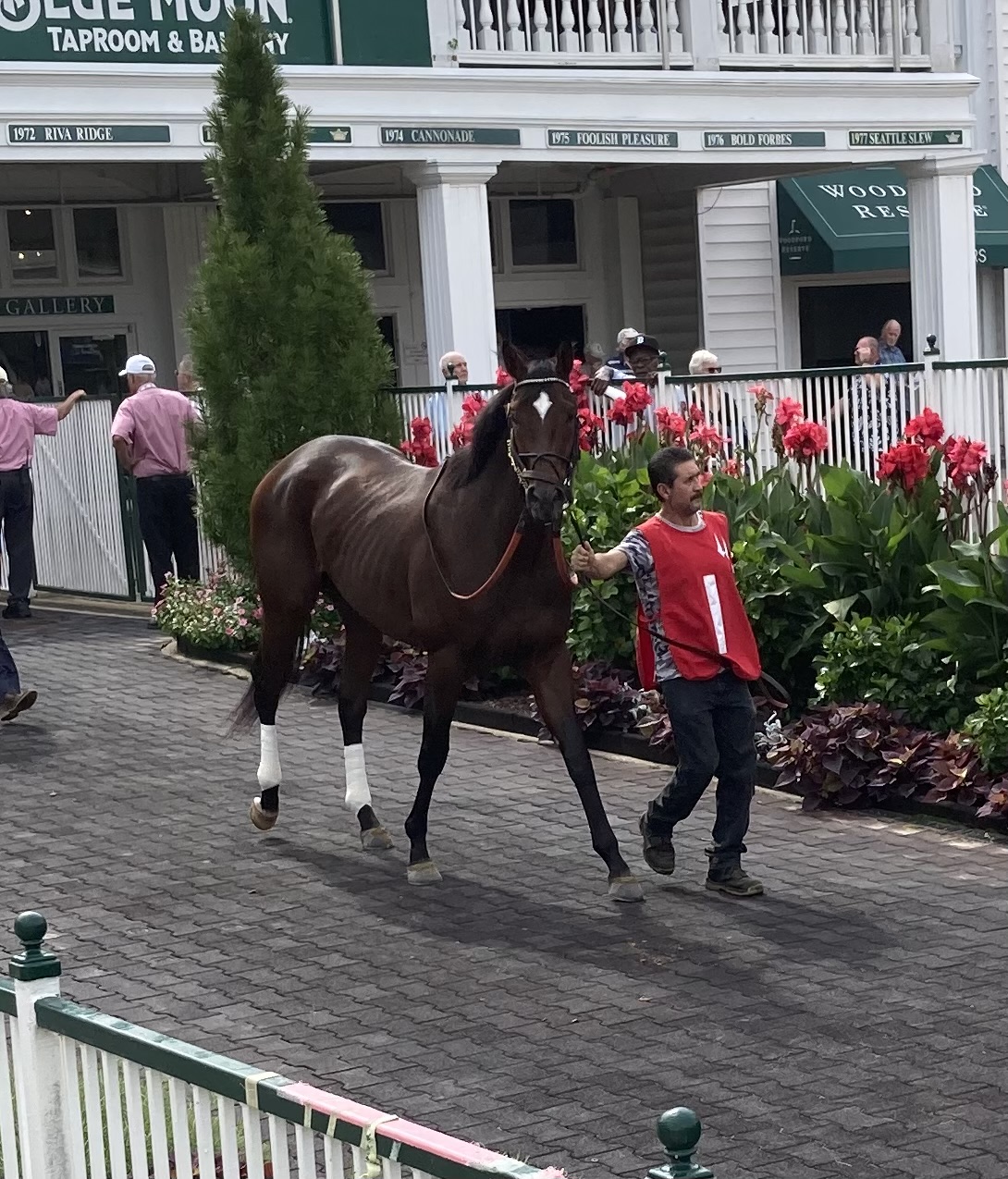 One Special Horse to Cheer for at the Breeders’ Cup – Garden & Gun