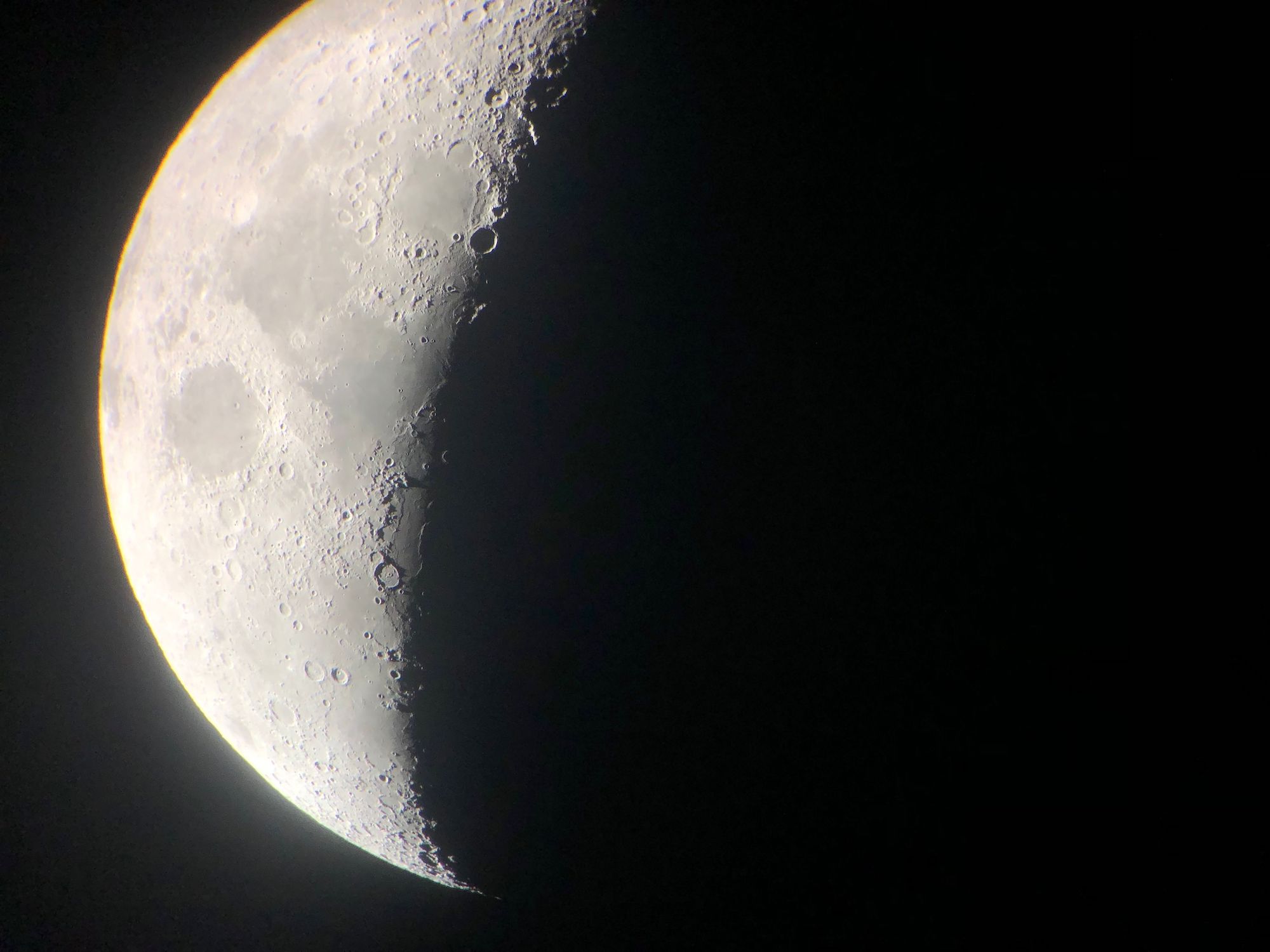 See Stars Close to Home in the South – Garden & Gun