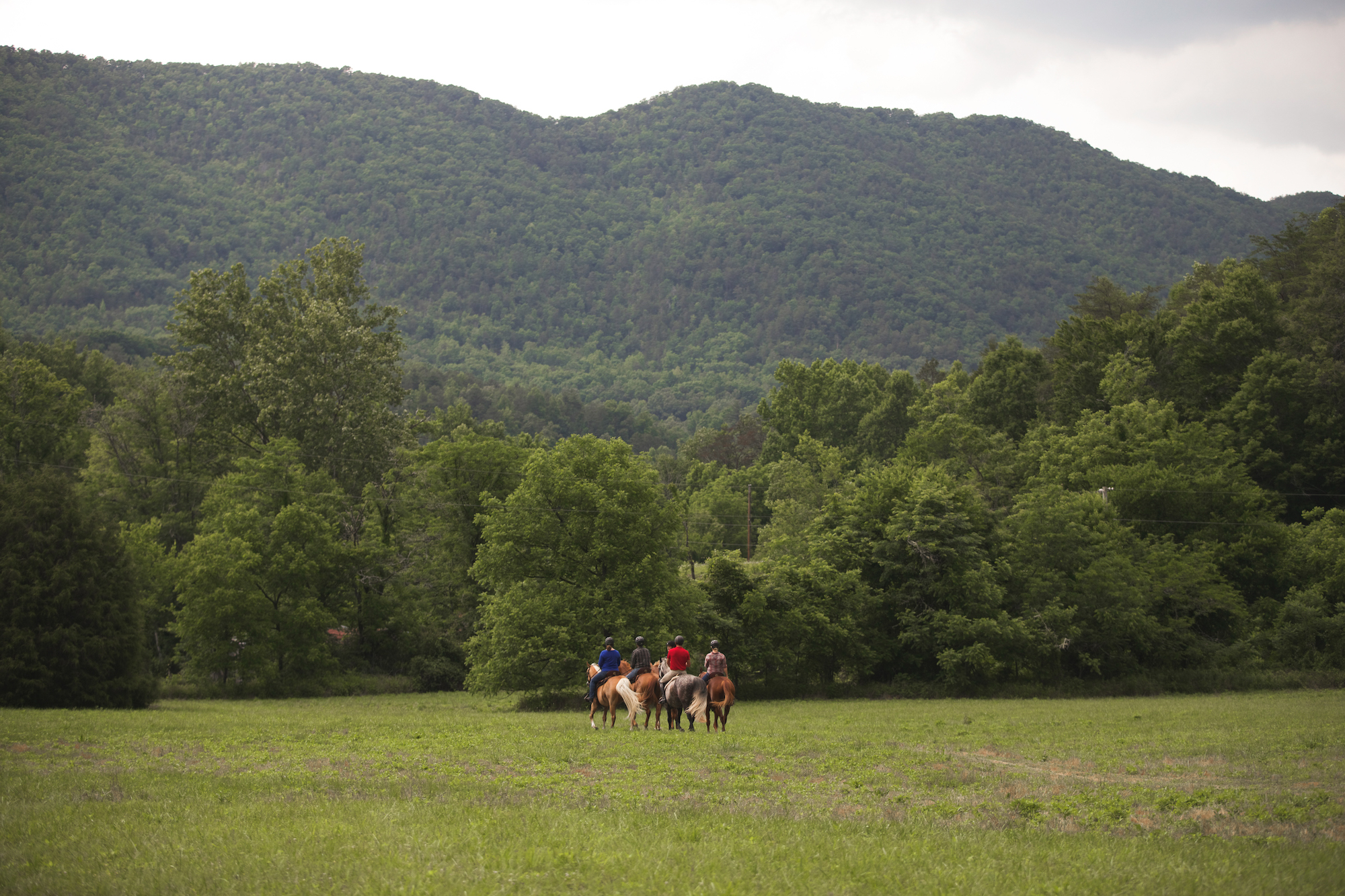 Serene Southern Wellness Retreats – Garden & Gun