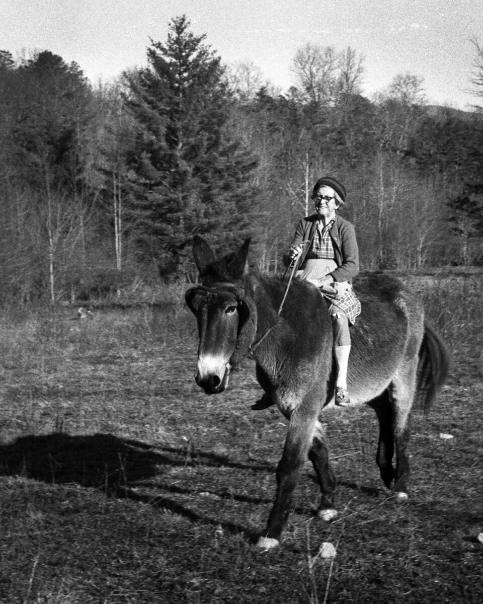 Why Foxfire Still Resonates – Garden & Gun