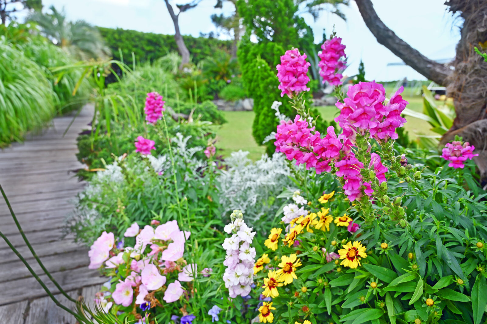 Secrets to Seaside Gardening – Garden & Gun