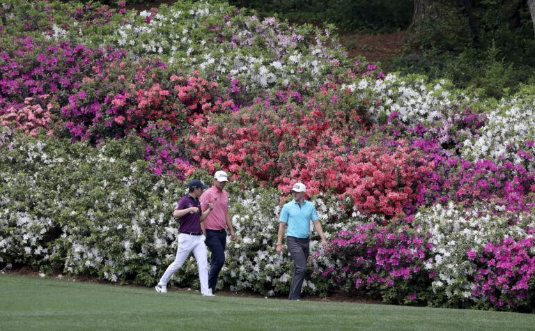 A Hole-by-Hole Ranking of the Masters Plants – Garden & Gun