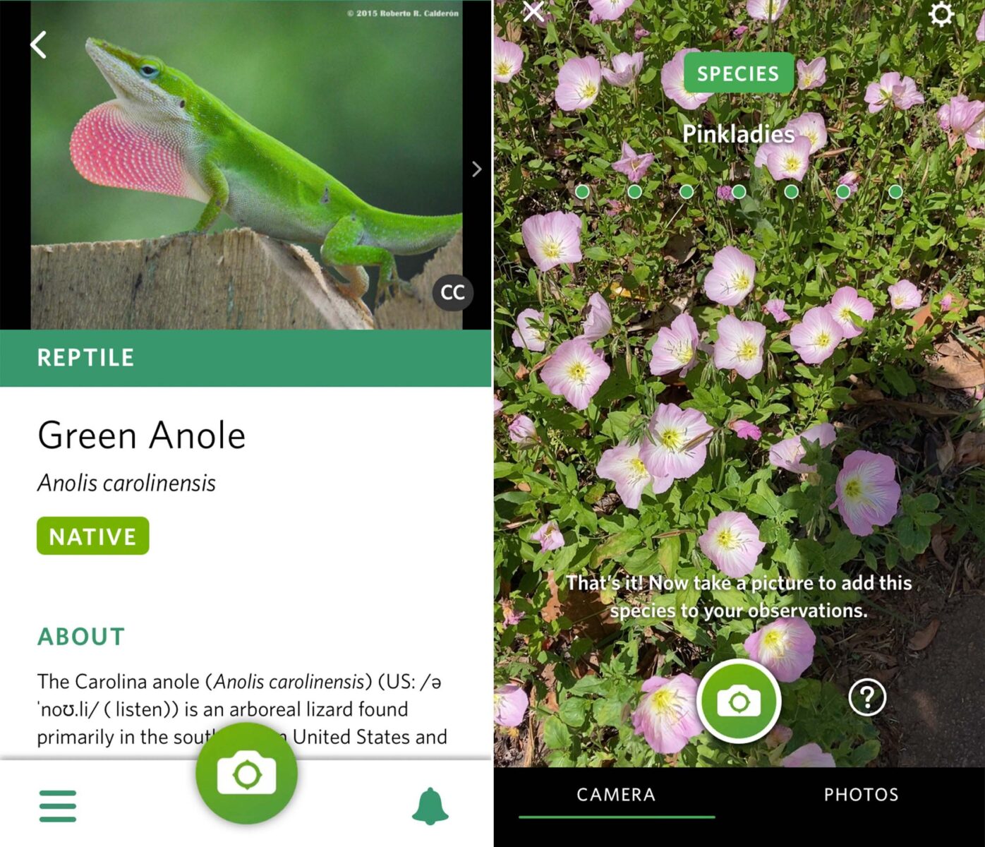 Must-Have Apps for Casual Nature Nerds – Garden & Gun