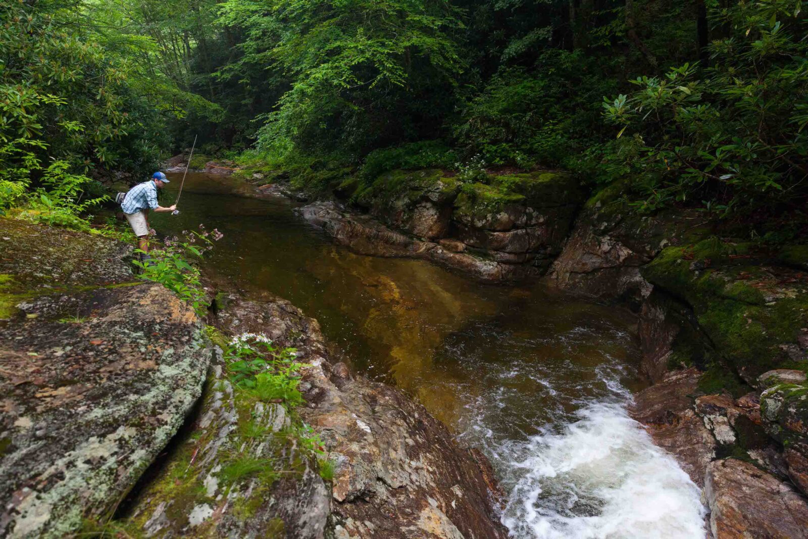 Where to Trout Fish in Western North Carolina – Garden & Gun