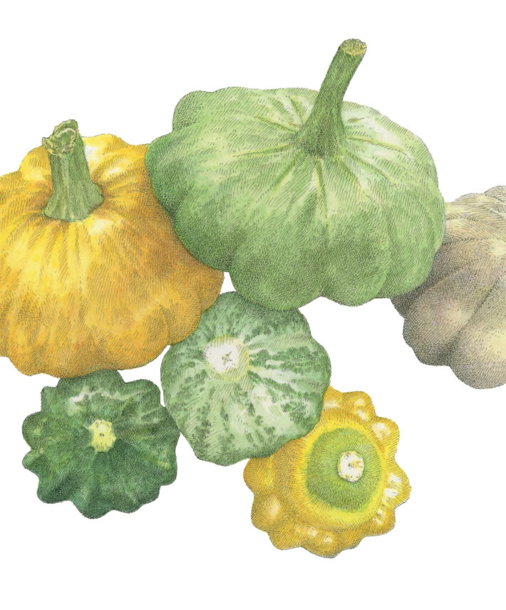 Rocket Booster – Garden & Gun