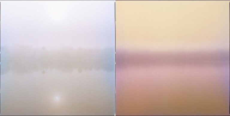 Step Into Nigel Parry’s Sensory-Rich Southern Landscapes – Garden & Gun