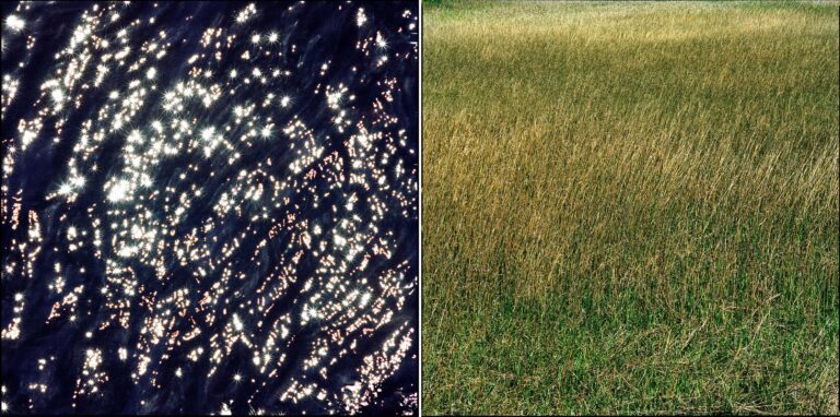 Step Into Nigel Parry’s Sensory-Rich Southern Landscapes – Garden & Gun