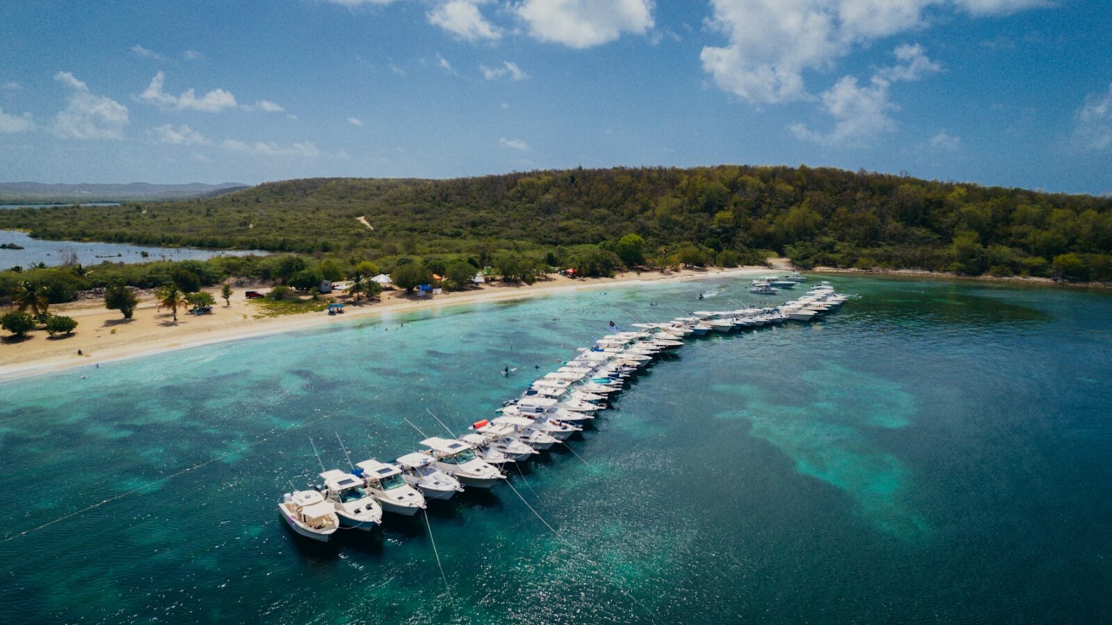 The World’s Largest Gathering of Grady-White Boats Drops Anchor Against ...