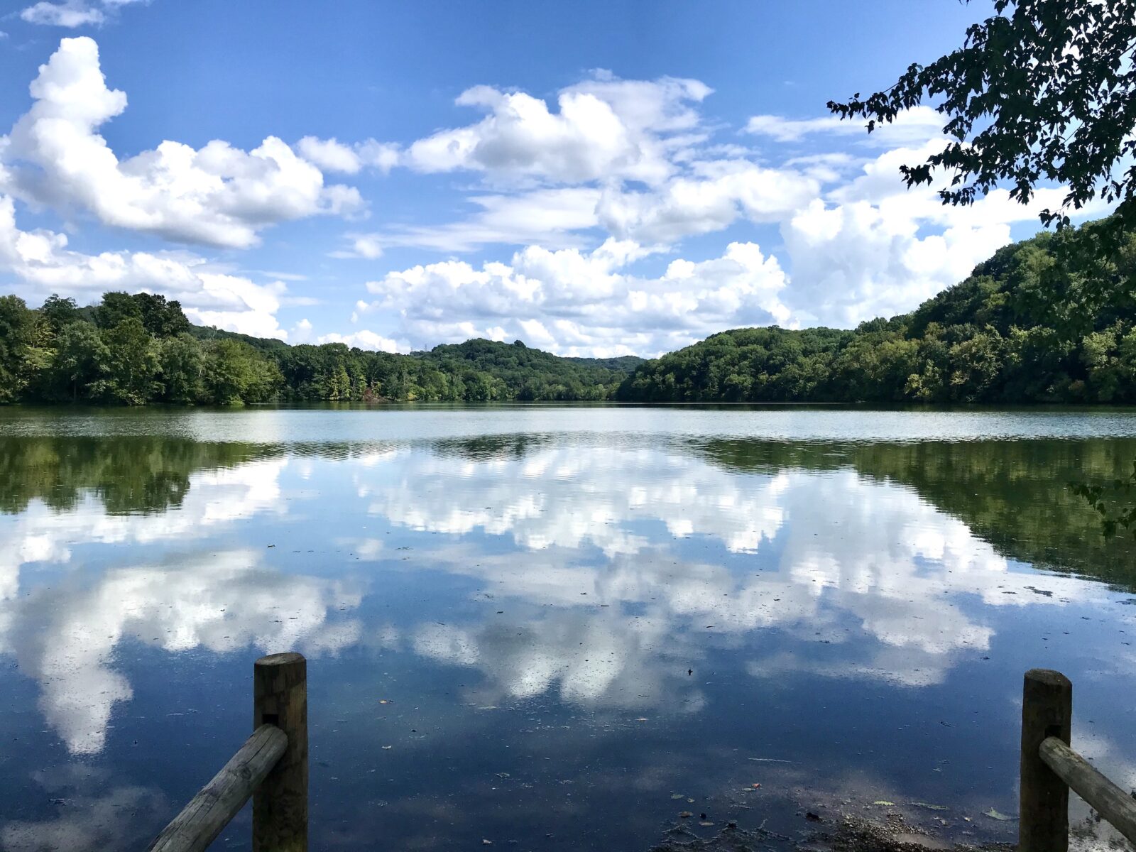 Nashville’s (Real) Wild Side: Nine Great Nature Escapes – Garden & Gun