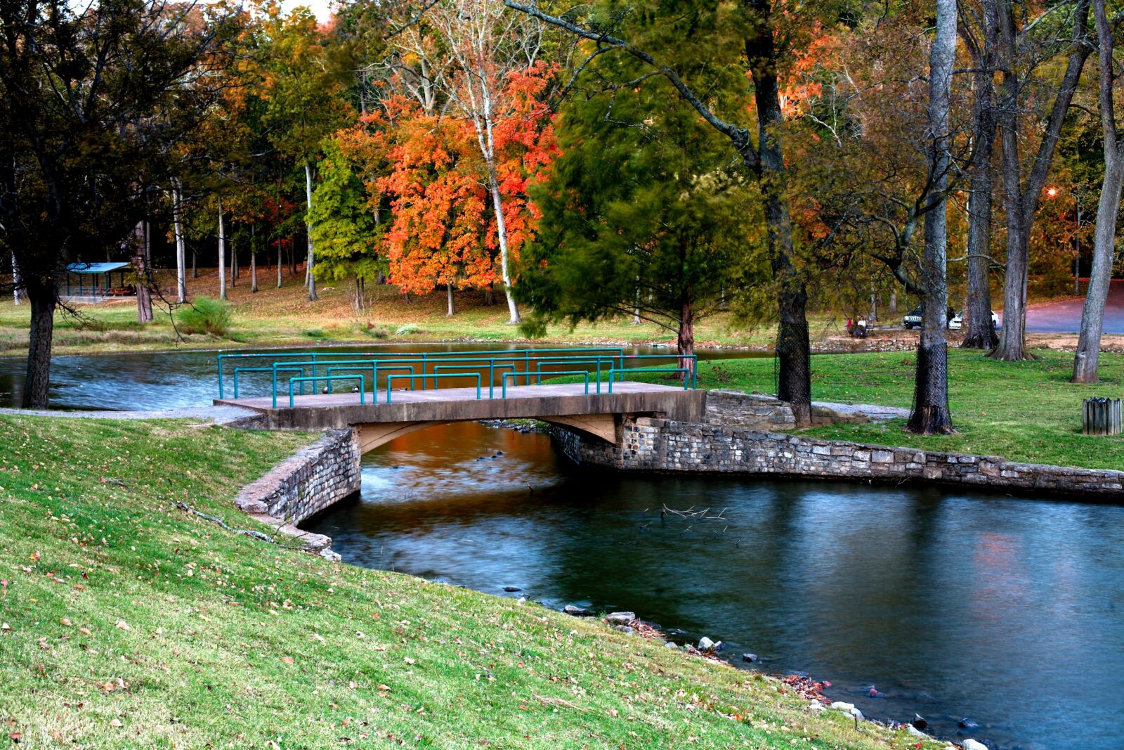 Nashville’s (Real) Wild Side: Nine Great Nature Escapes – Garden & Gun