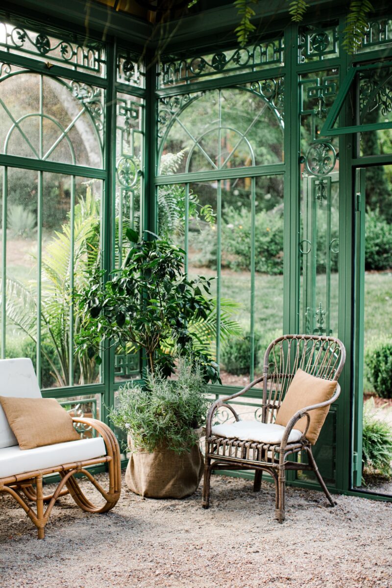 The Best Potted Trees for the Patio Porch and Beyond Garden Gun