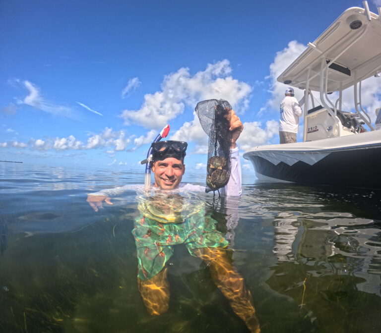 How to Swim for Scallops on Florida’s Gulf Coast – Garden & Gun