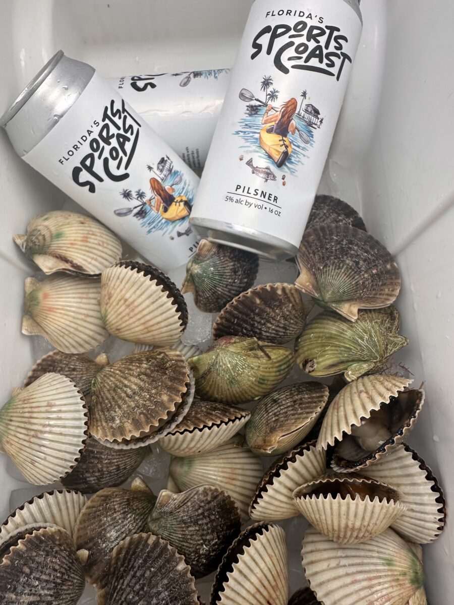 How to Swim for Scallops on Florida’s Gulf Coast – Garden & Gun