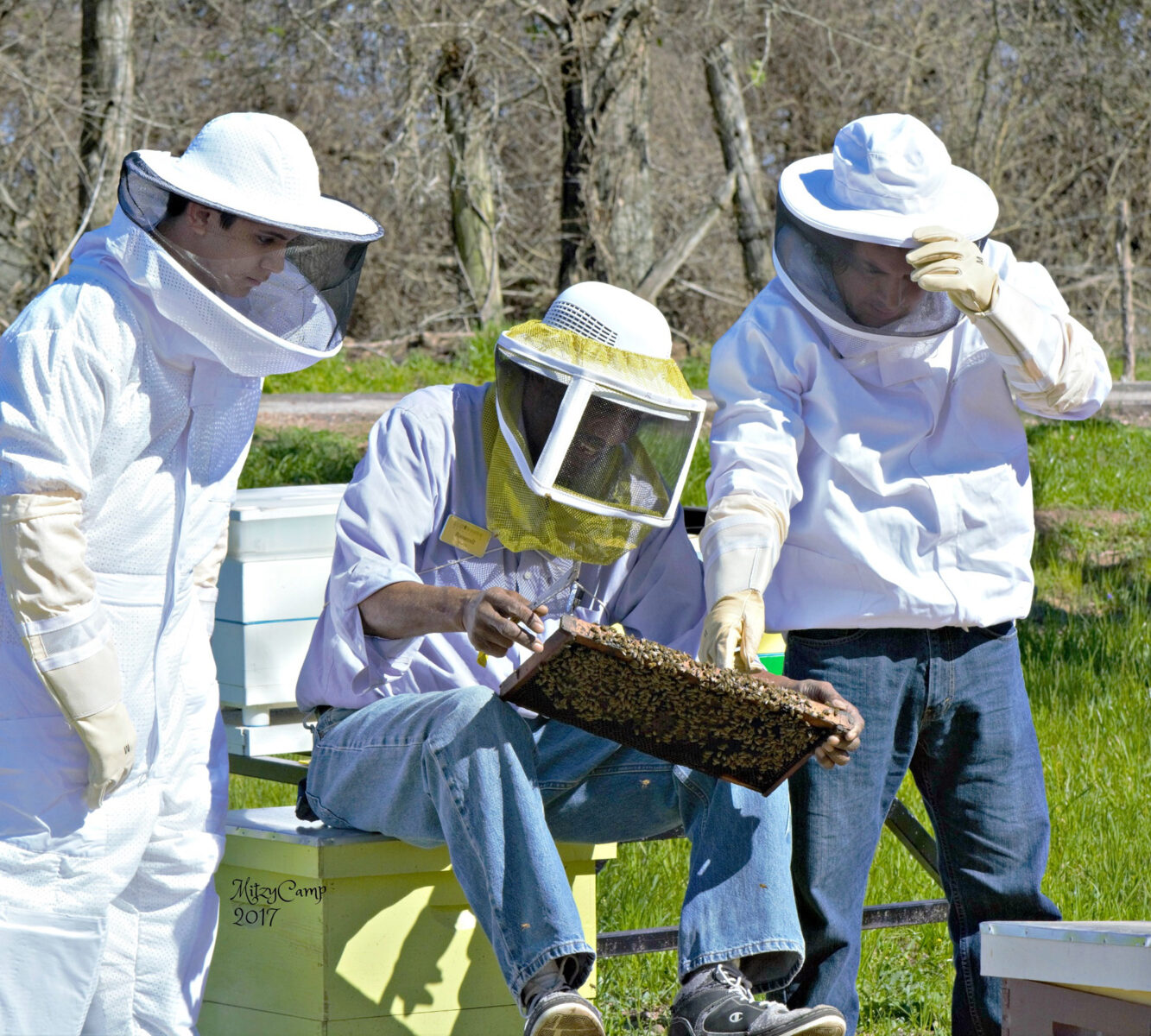 Inside the Hive Mind of Roosevelt “King Bee” Roberson – Garden & Gun