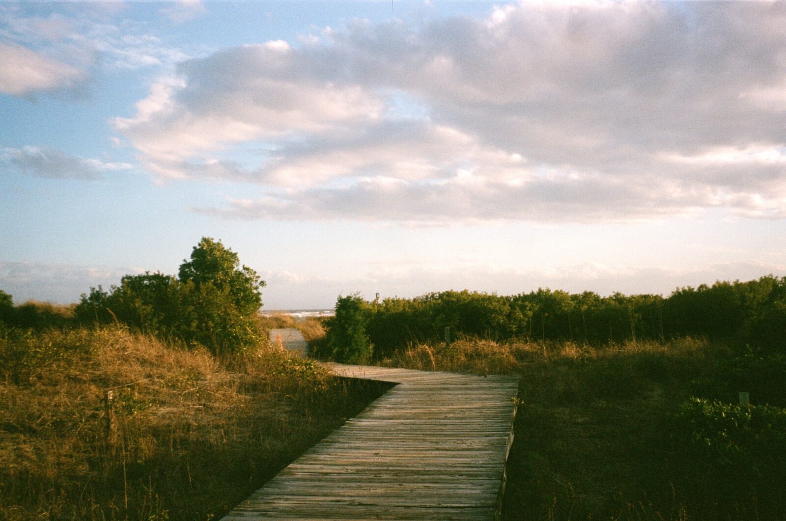 Five-Word Stories About Stifling Southern Summers – Garden & Gun