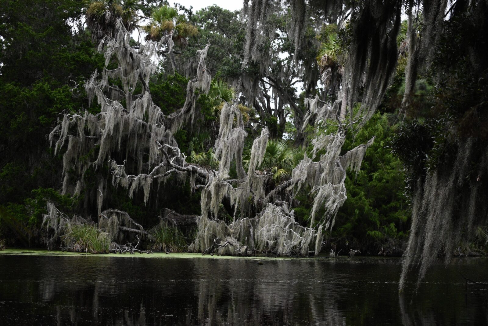 Six Lesser-Known South Carolina Barrier Islands – Garden & Gun