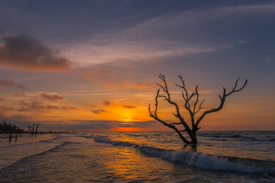 Six Lesser-Known South Carolina Barrier Islands – Garden & Gun