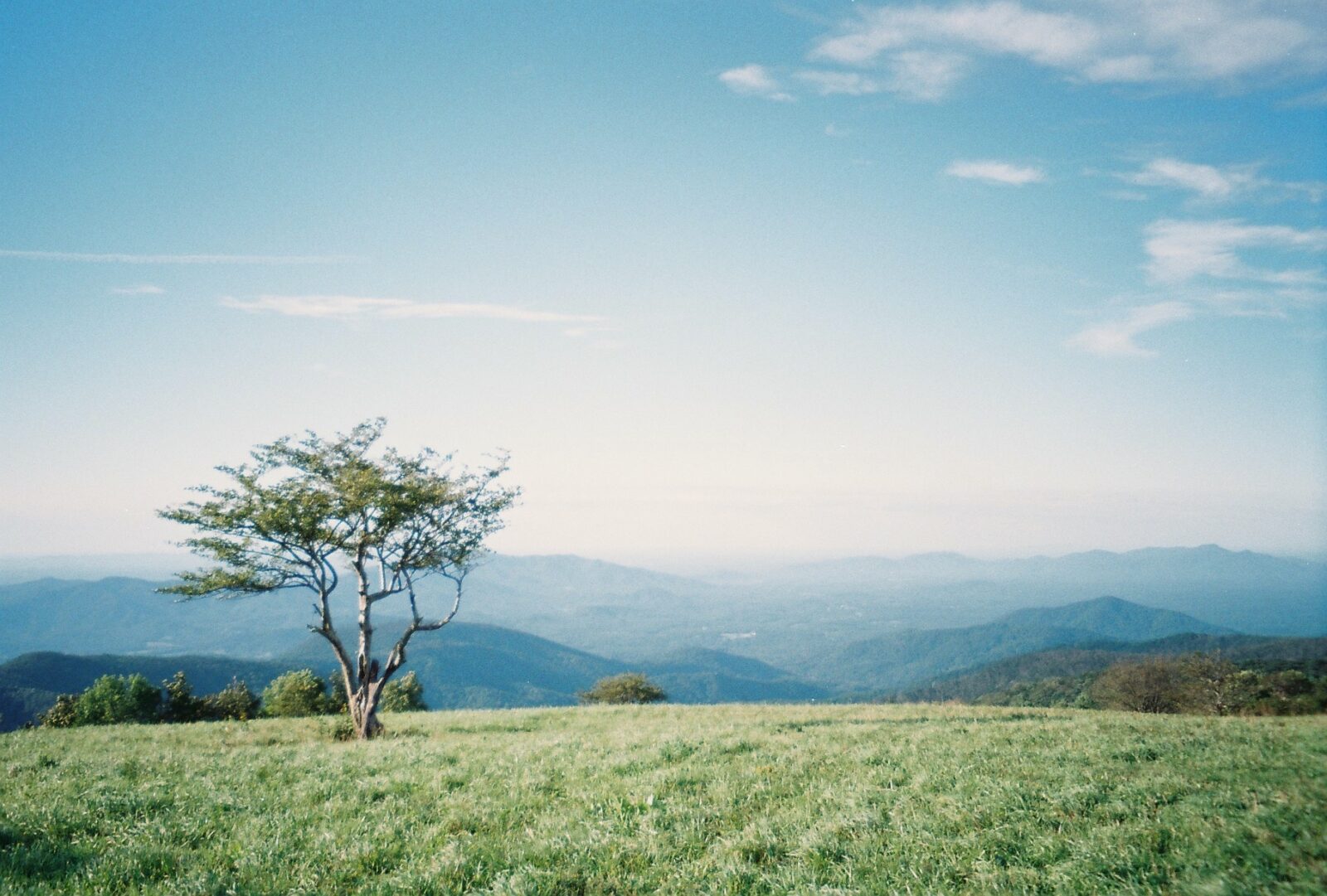 An Insider’s Guide to Lexington, Virginia – Garden & Gun