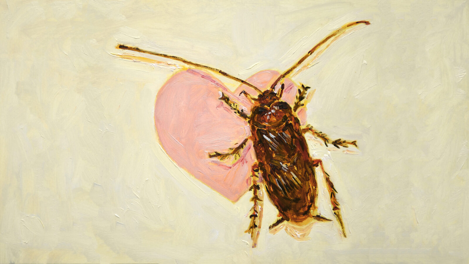 Can a Science Writer Learn to Love Roaches? – Garden & Gun