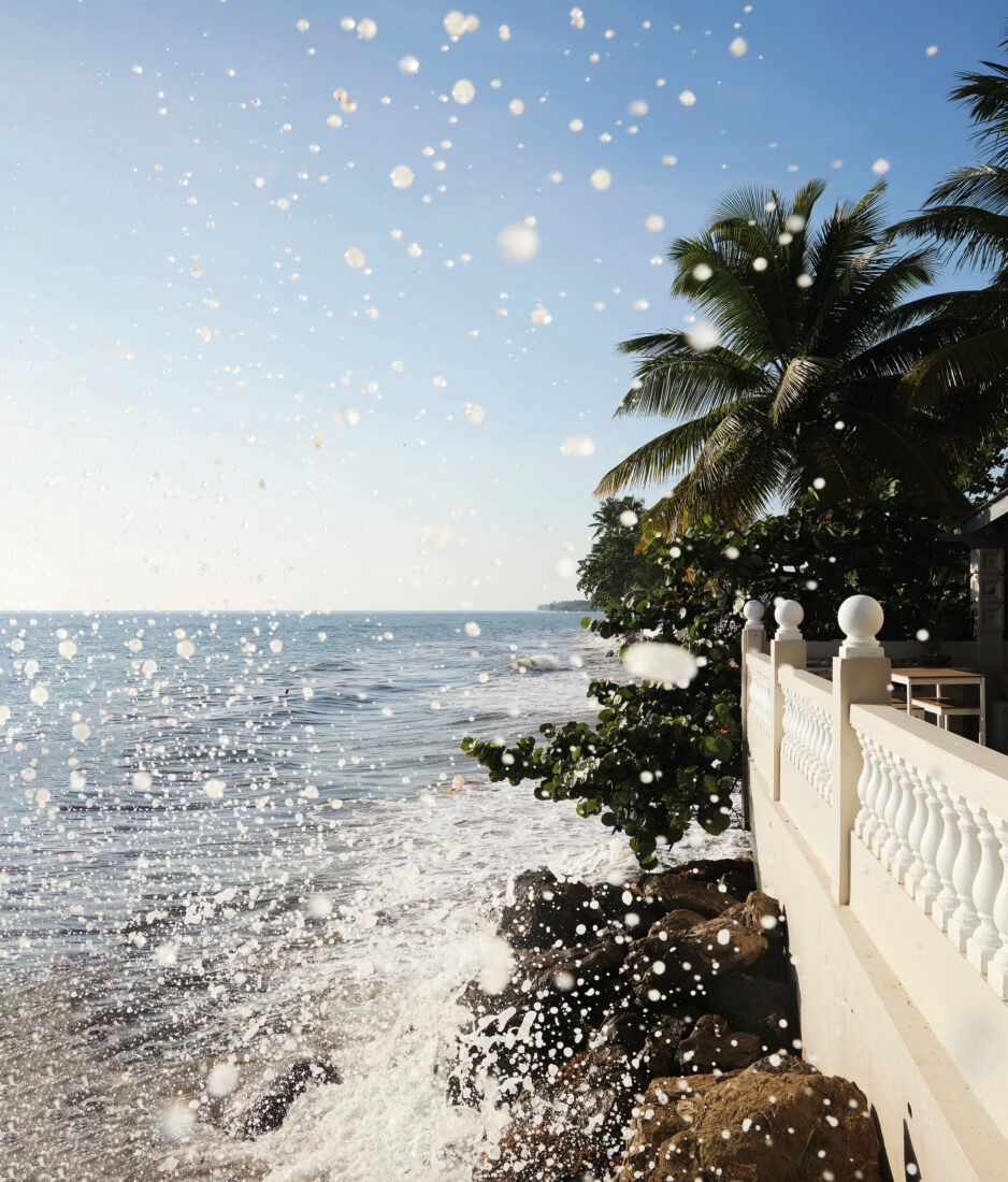 Puerto Rico’s West Coast Flavor – Garden & Gun