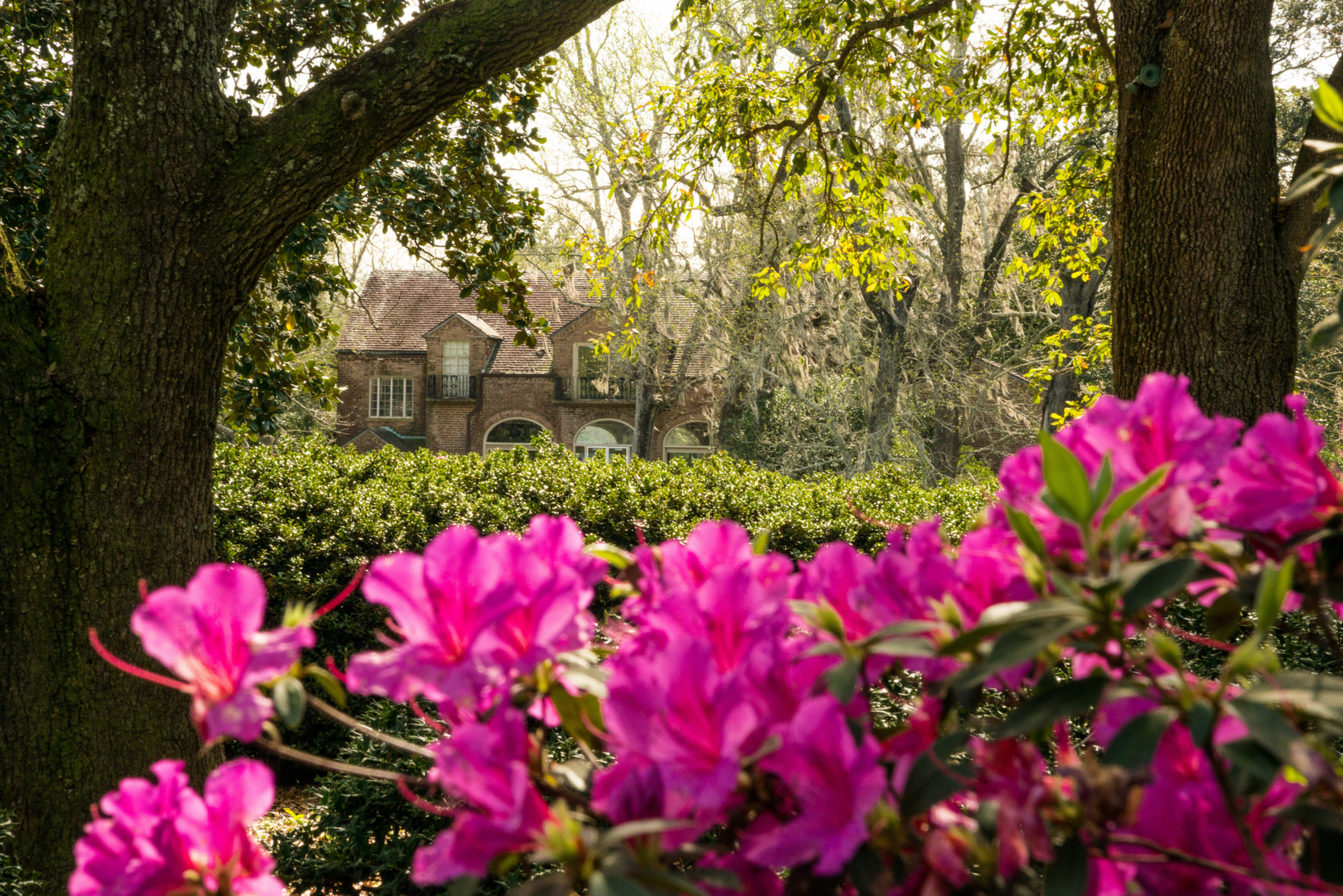 Visiting Mobile: G&G’s Guide to the Azalea City – Garden & Gun