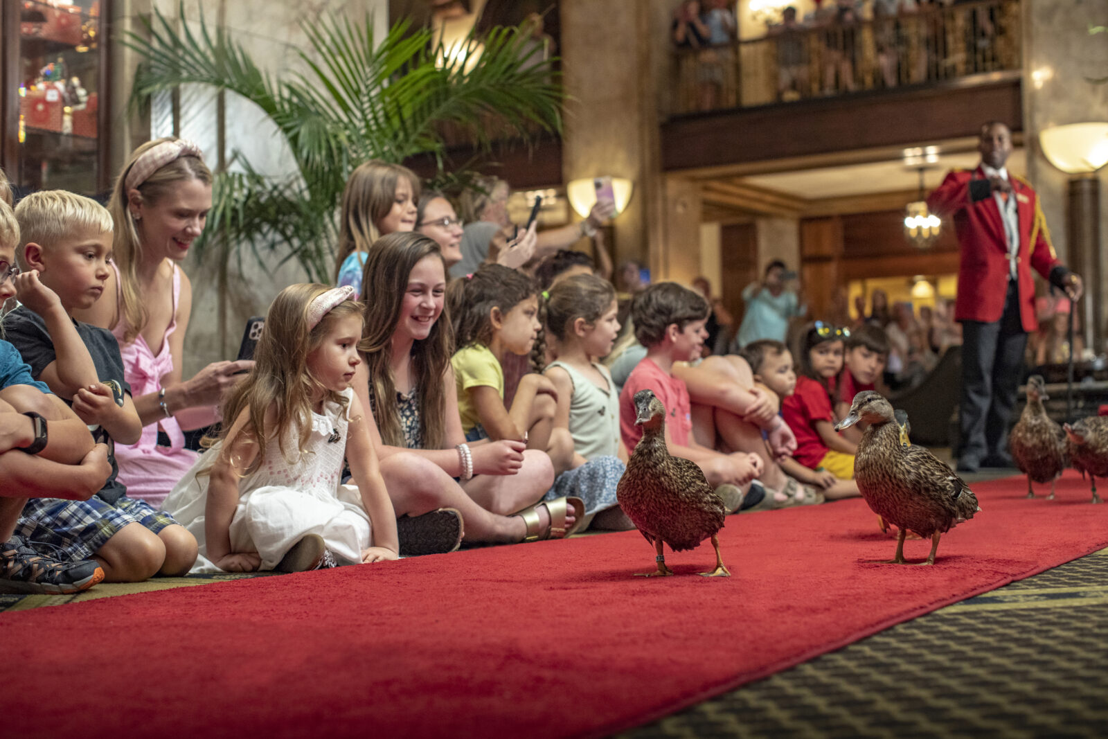 Duck Destiny: Meet Kenon Walker, the Peabody Hotel's Duckmaster ...