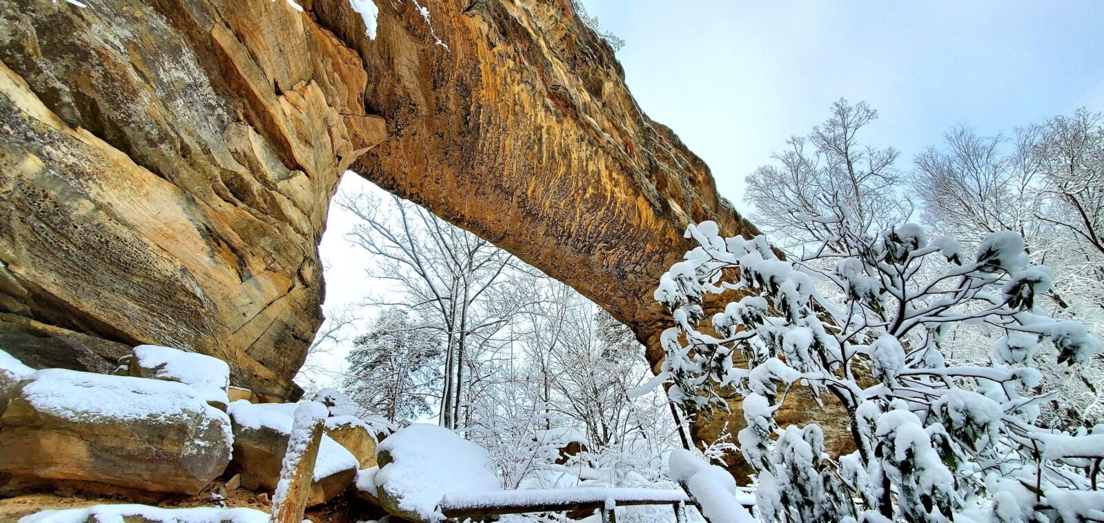 Seven Southern Hikes to Seek Out in Winter – Garden & Gun