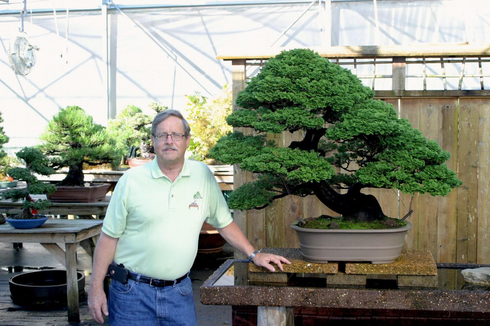 A Mississippi Nursery Is 100,000 Bonsai Trees Strong and Growing ...