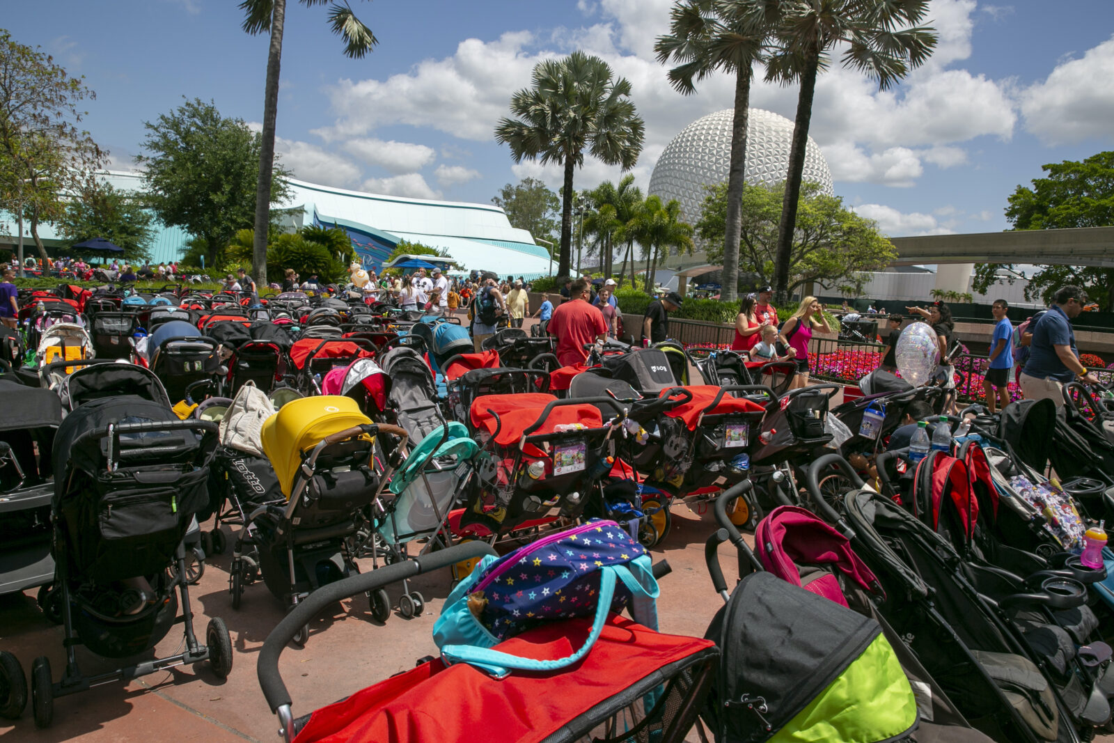 Daunted by Disney World: A First-Timer’s Guide to Finding Magic in the ...