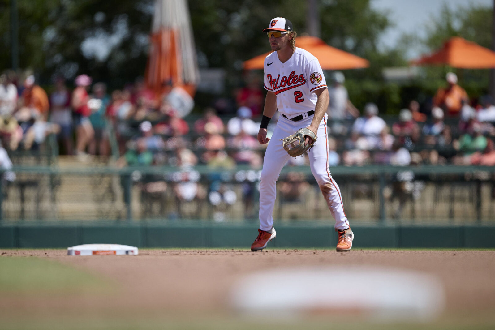 Where to Watch Spring Training at Southern Ballparks – Garden & Gun