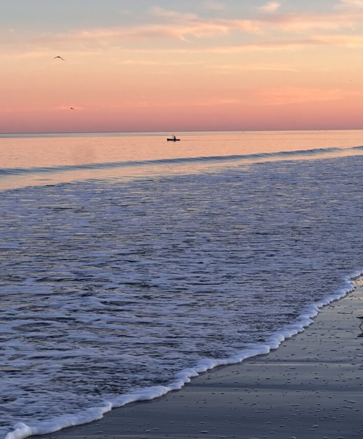 Terry Ward Archives – Garden & Gun