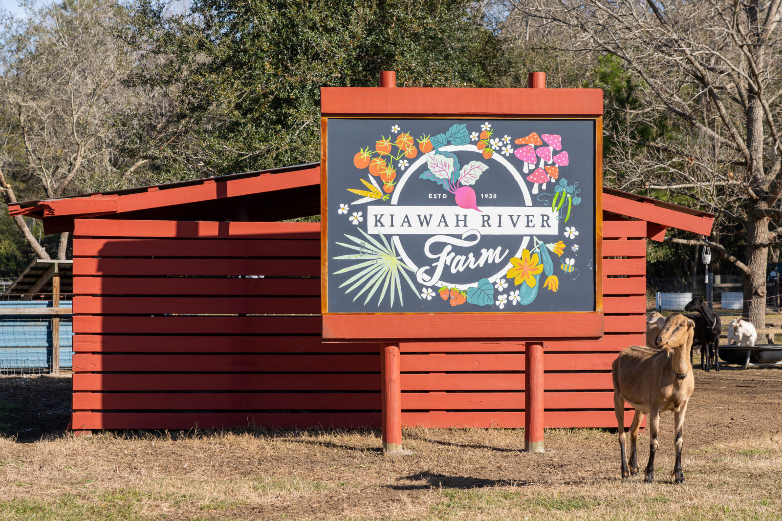 Where to Go in the South Now – Garden & Gun