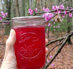 Can You Really Eat Redbud Tree Blossoms? Yes, and We Have Recipes ...